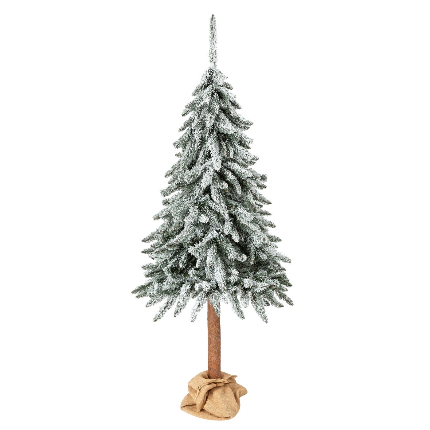 Choinka drzewko na pniu ŚWIERK OSZRONIONY - kolekcja Świerków ...